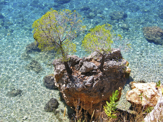 Experience Medora - This is our story - Medora